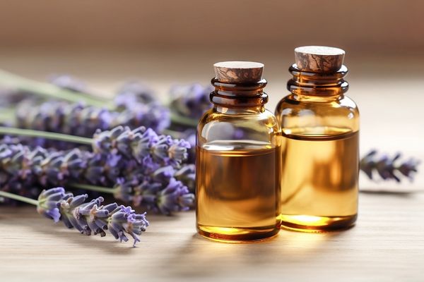 Comment Se Débarrasser des Psoques ? 6 Traitements Naturels.