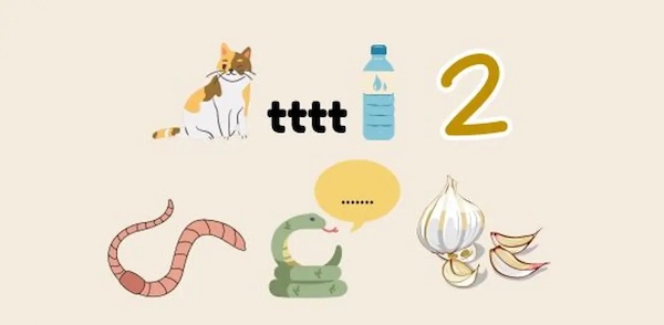 Top 81 des Rébus Drôles et Faciles (Avec Réponses).