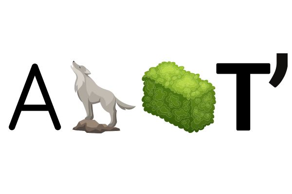 Top 81 des Rébus Drôles et Faciles (Avec Réponses).