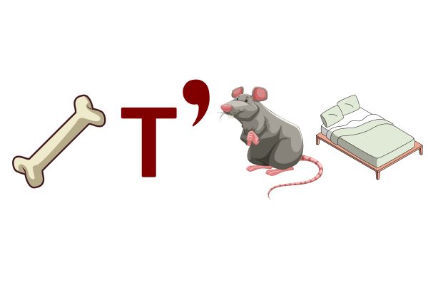 Top 81 des Rébus Drôles et Faciles (Avec Réponses).