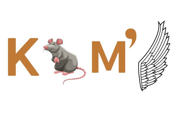 Top 81 des Rébus Drôles et Faciles (Avec Réponses).