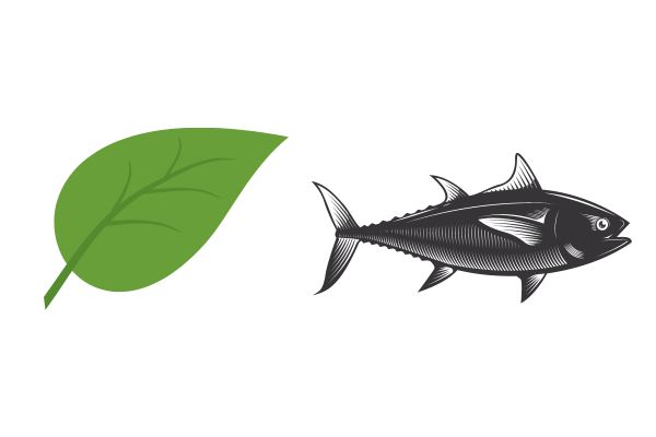 Top 81 des Rébus Drôles et Faciles (Avec Réponses).