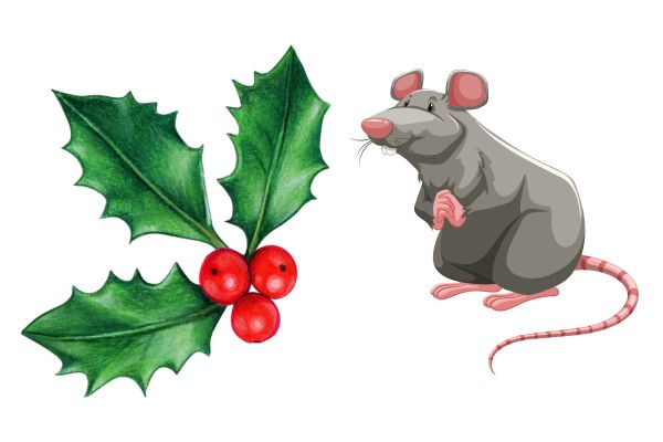 Top 81 des Rébus Drôles et Faciles (Avec Réponses).