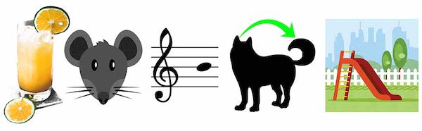 Top 81 des Rébus Drôles et Faciles (Avec Réponses).