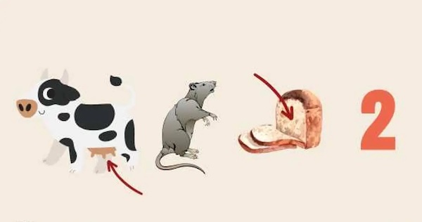 Top 81 des Rébus Drôles et Faciles (Avec Réponses).