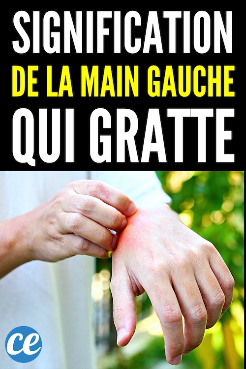 Main Gauche Qui Gratte : Signification et Superstition.
