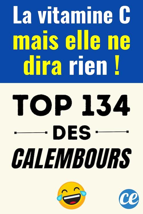 Les 134 Calembours les Plus Drôles de la Langue Française.