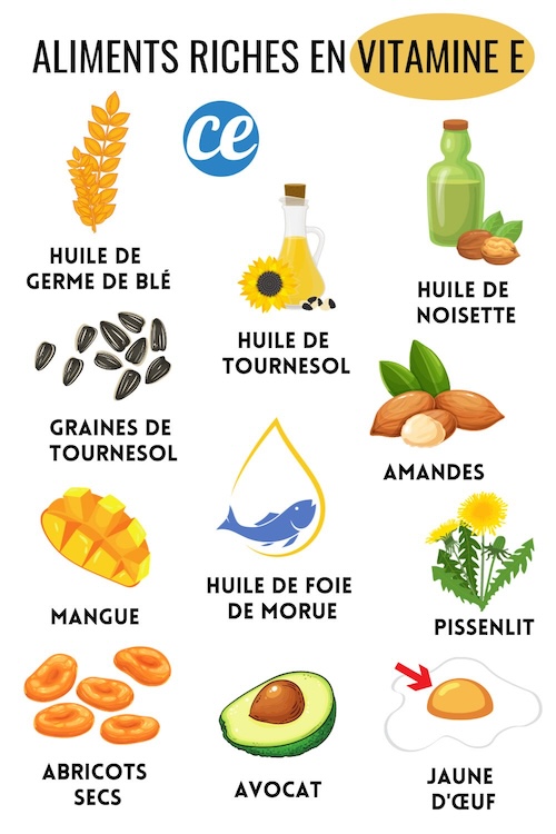 Liste des 19 Aliments Riches en Vitamine E.