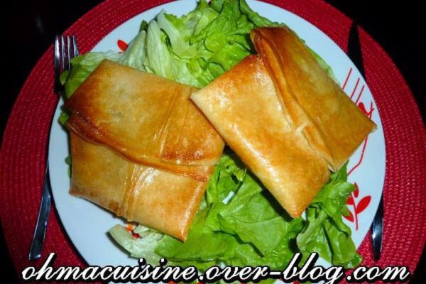 41 Recettes Faciles avec des Feuilles de Brick.