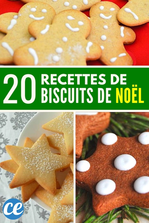 20 Recettes de Biscuits de Noël Faciles et Rapides à Faire.