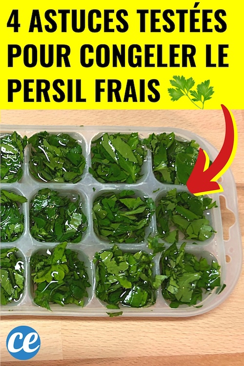 Comment Congeler le Persil Pour le Conserver Frais Pendant des Mois.