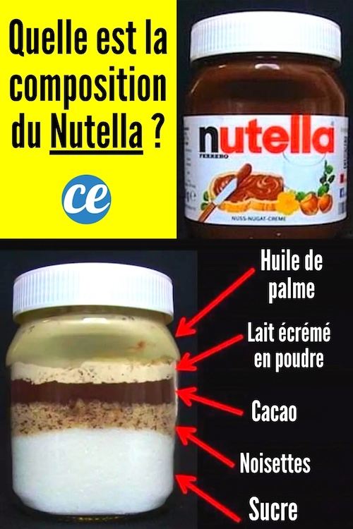 Quelle est la Composition de votre Pot de Nutella ? Les Ingrédients en ...