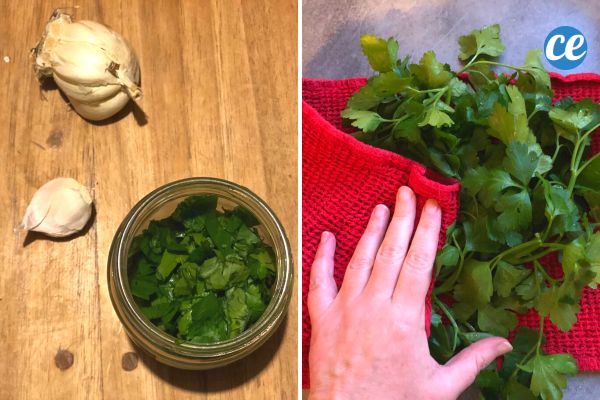 Comment Congeler le Persil Pour le Conserver Frais Pendant des Mois.