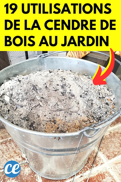 19 Utilisations Pratiques De La Cendre Dans Le Jardin