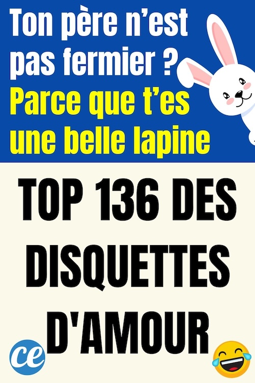 Top 136 des Meilleures Disquettes d'Amour (Drôles et Mignonnes).