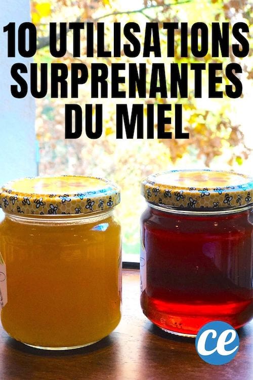 10 Utilisations Insoupçonnées du Miel.