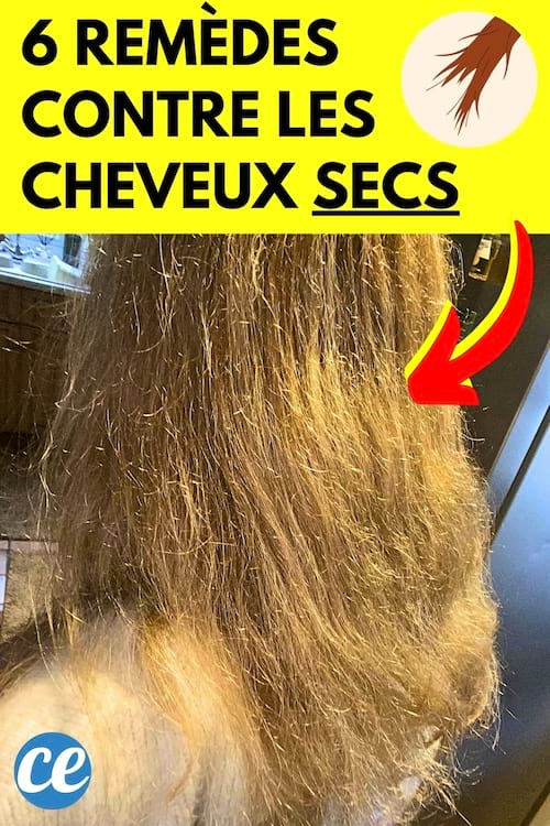 Cheveux Secs et Abîmés : 6 Remèdes de Grand-Mère Pour les Hydrater en Profondeur.