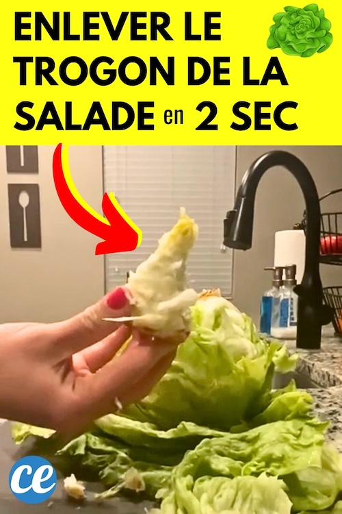 L'Astuce pour Enlever le Trognon d'une Salade en 2 Secondes.