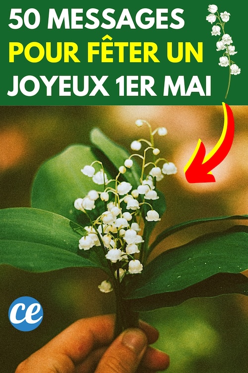 50 Jolis Messages Originaux Pour Fêter un Joyeux 1er Mai.
