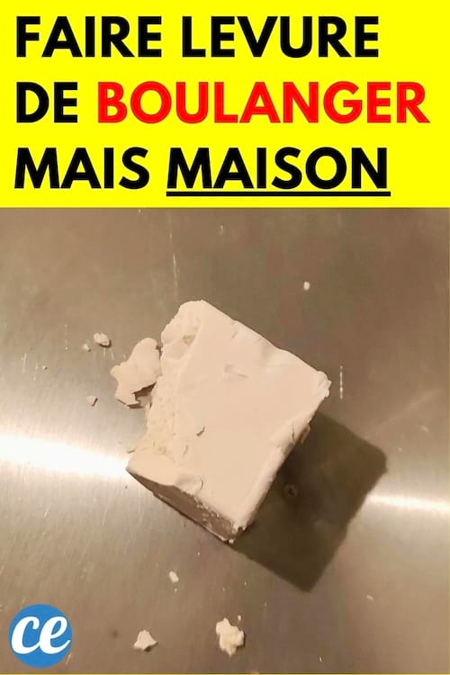 Comment Faire Sa Levure de Boulanger Maison ? Voici 3 Recettes Faciles.