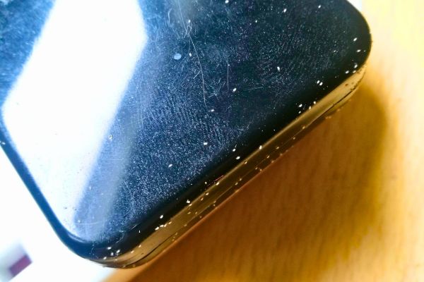 Acarien de Cuisine ou Ciron : Comment Éliminer ces Petites Bêtes Blanches