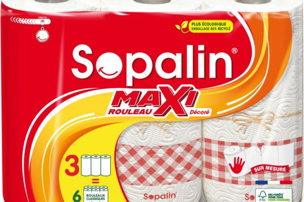 Quelle est la Différence Entre Sopalin et Essuie-Tout