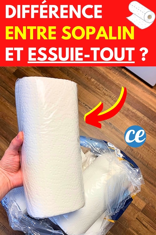 Quelle est la Différence Entre Sopalin et Essuie-Tout