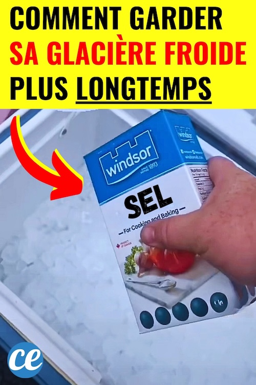 L'Astuce pour Garder votre Glacière Froide 2 Fois Plus Longtemps.