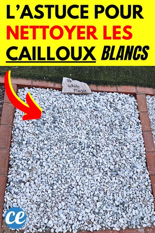 Comment Nettoyer les Cailloux Blancs de votre Jardin