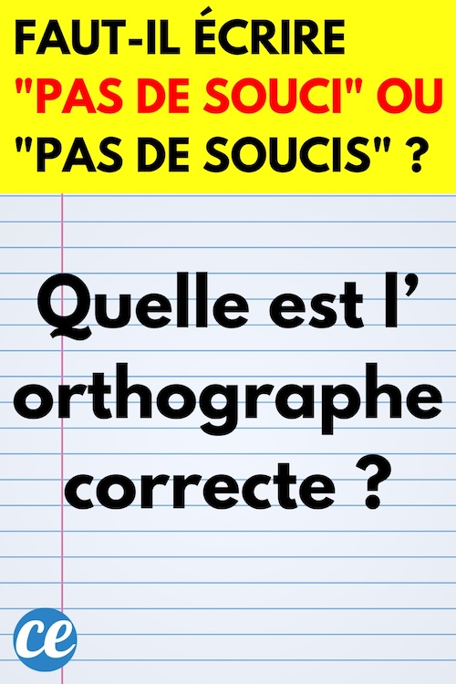 "Pas de Souci" ou "Pas de Soucis" : Quelle est l'Orthographe Correcte