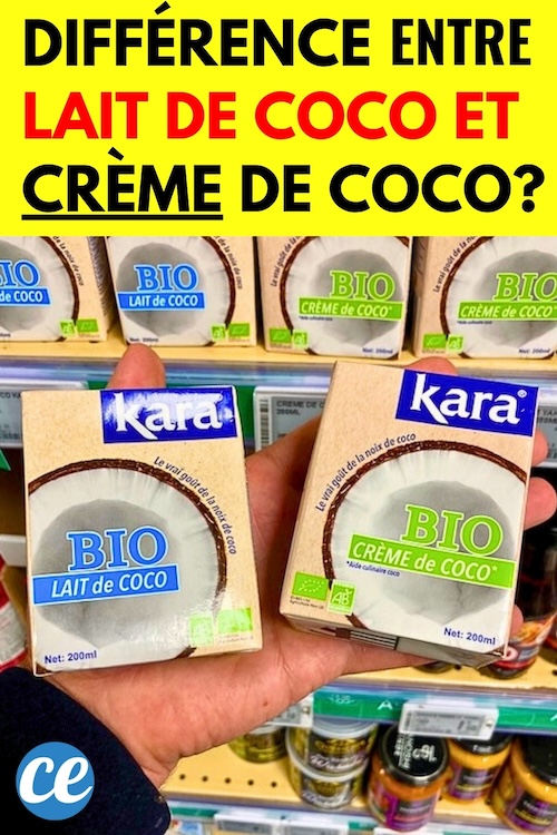 Lait et Crème de Coco : Quelle Différence et Comment les Utiliser