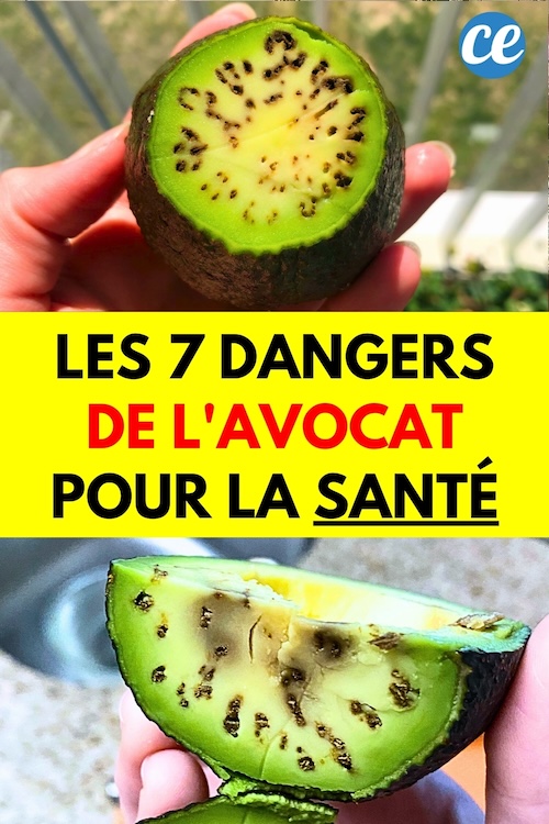 Les 7 Dangers et Méfaits de l'Avocat pour la Santé.