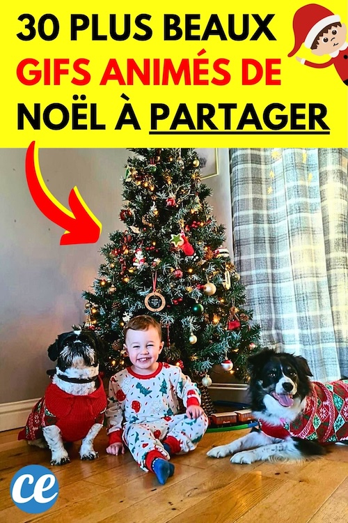 Les 30 Plus Beaux Gifs Animés de Noël à Partager Gratuitement.