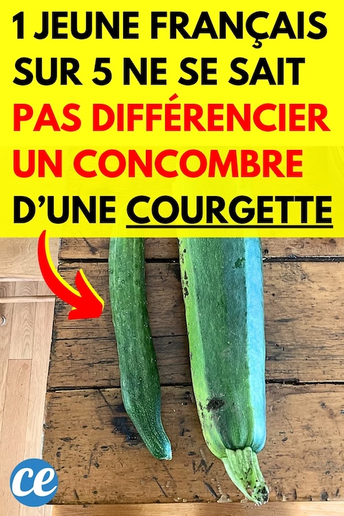 1 Jeune Français sur 5 ne se Sait Pas Faire la Différence entre un ...