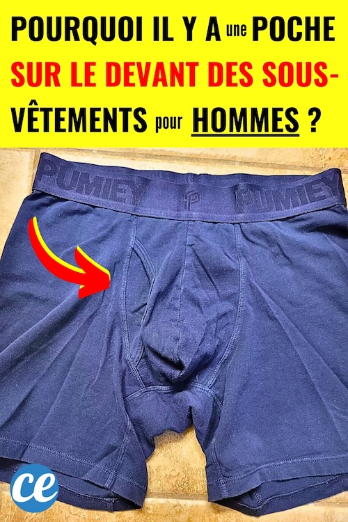 Pourquoi Y a-t-il une Poche sur le Devant des Sous-Vêtements pour Hommes