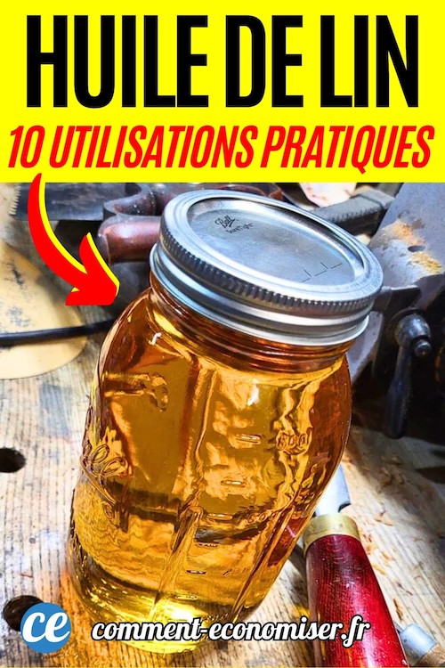 Huile de Lin : 10 Utilisations Pratiques et Efficaces pour la Maison.