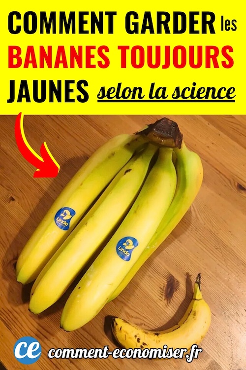 Ni Réfrigérateur Ni Papier Aluminium : l’Astuce Pour Garder les Bananes ...
