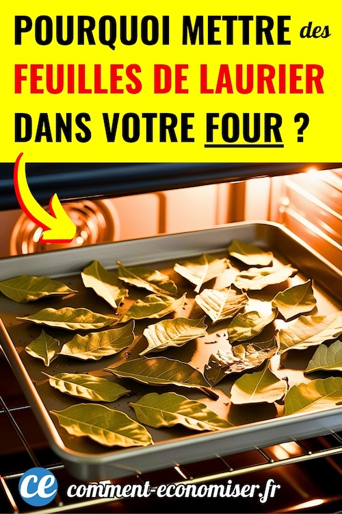 Pourquoi Mettre des Feuilles de Laurier dans votre Four ? On Vous Répond.