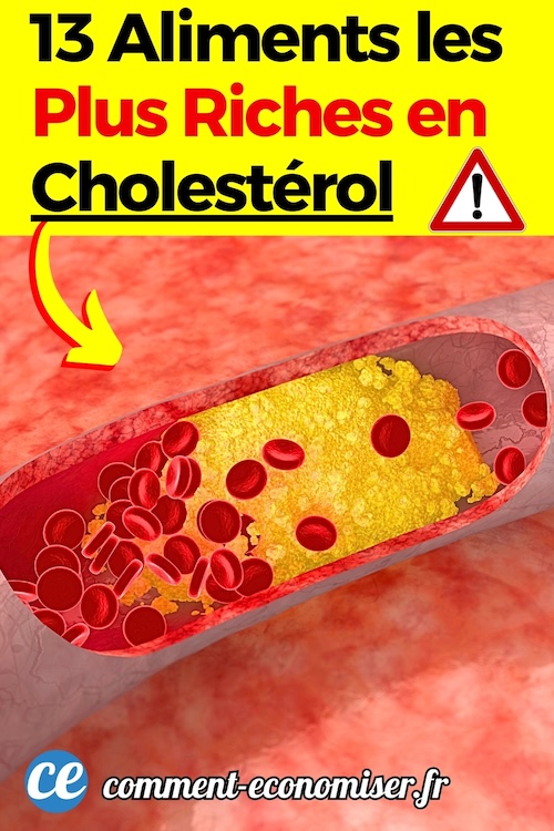 Méfiance : Voici les 13 Aliments les Plus Riches en Cholestérol.