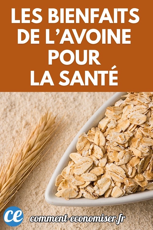 Connaissez-Vous les Bienfaits de l'Avoine Pour Votre Santé