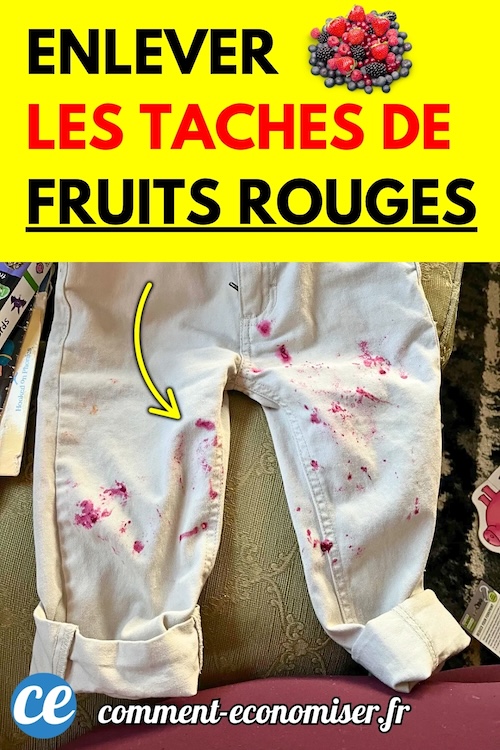 Taches de Fruits Rouges : L'Astuce Testée Et Approuvée Pour Les Faire ...