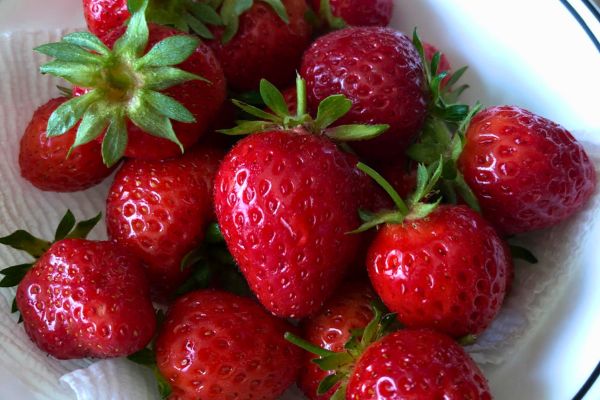 Combien de Temps les Fruits et Légumes Frais se Conservent-Ils Vraiment