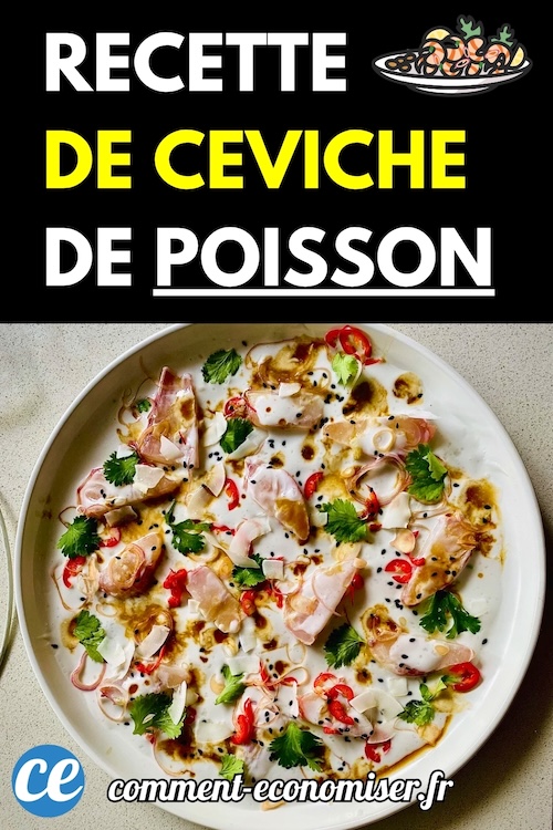Facile et Sans Cuisson : La Recette du Ceviche de Poisson Prêt en 15 min.