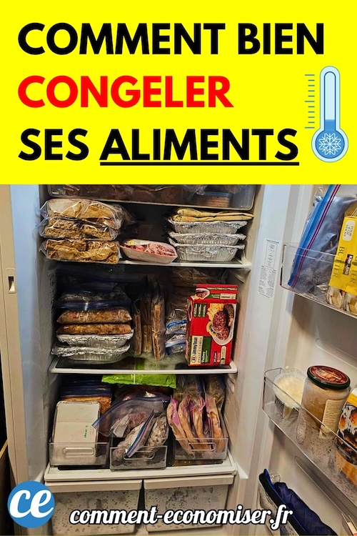 Le B.a.-Ba de la Congélation ou Comment Bien Congeler ses Aliments.