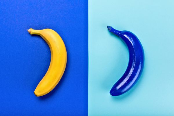 Blue Java : cette variété de banane bleue a un goût de glace à la vanille