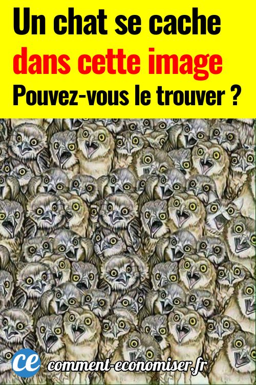 Seules les personnes avec une très bonne vue parviennent à trouver le ...