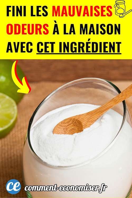 Ni bougies ni désodorisants : la méthode validée par un pro pour ...