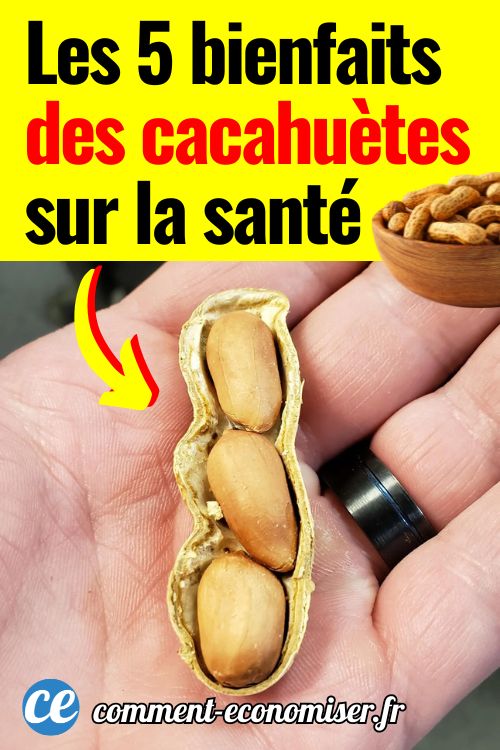 Des médecins révèlent que la consommation de cacahuètes provoque…
