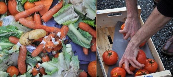 Un Bac à Compost pour Avoir de l'Engrais Naturel et Gratuit.