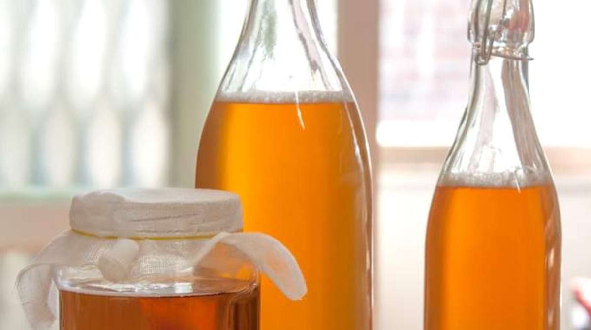 La Recette du Kombucha Fait Maison : La Boisson Rafraîchissante aux ...